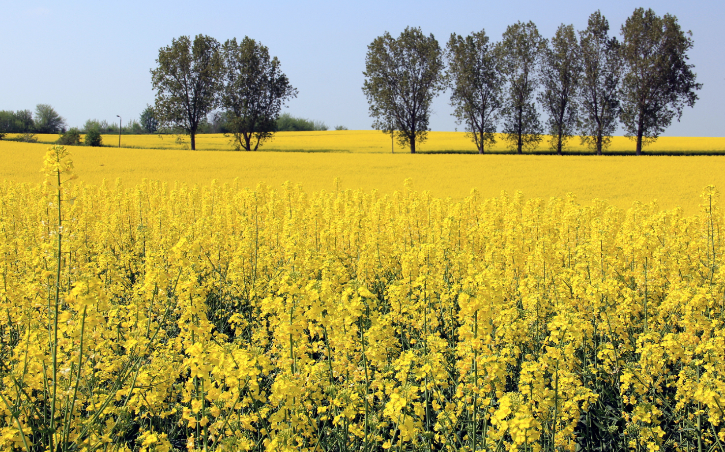 Kilpatrick Townsend - företrädde Cyclife - Kilpatrick